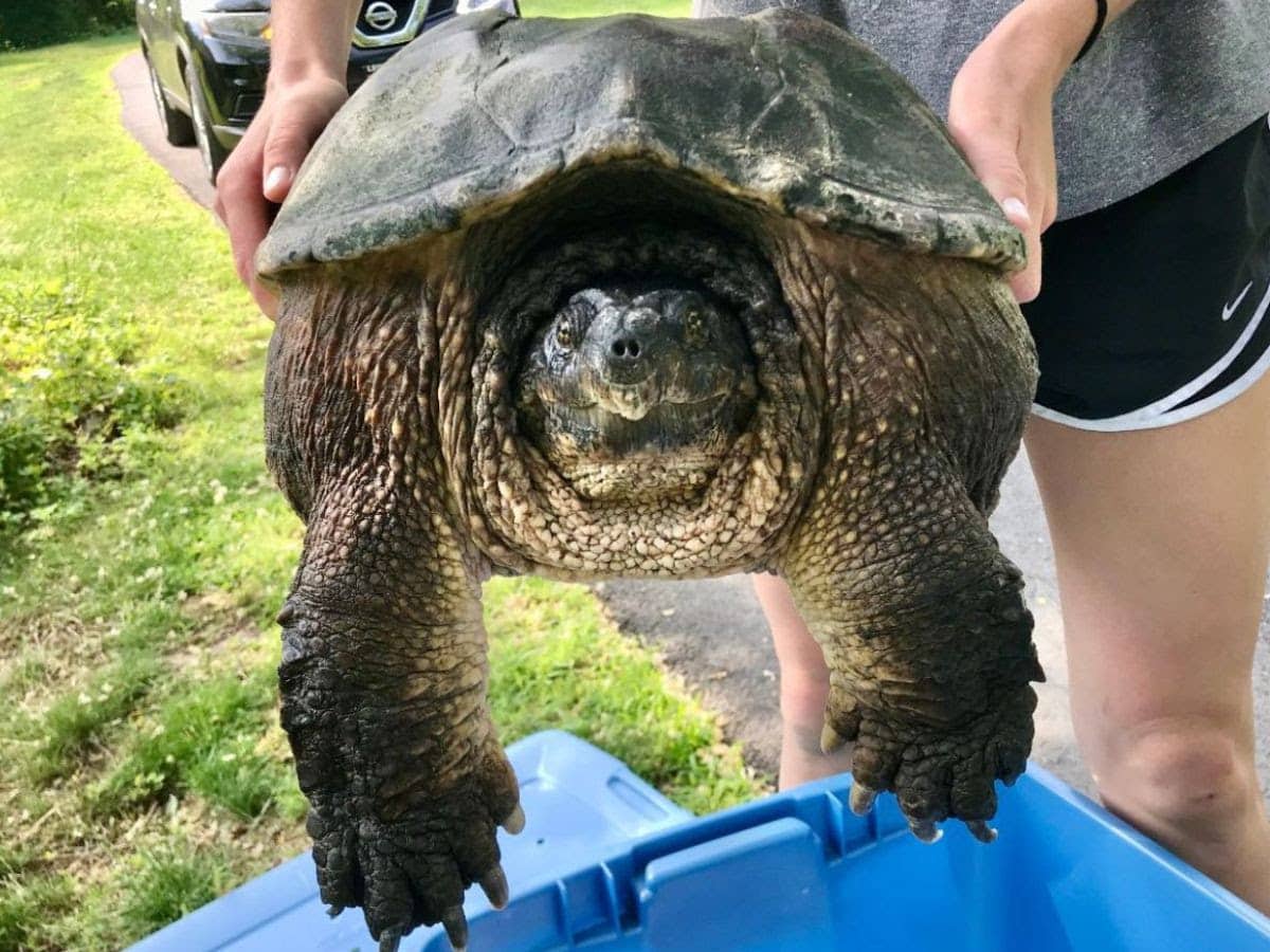 May 2024 - Wildlife Center of Long Island